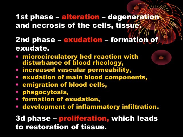Exudative inflammation