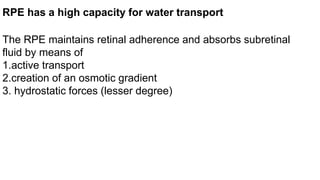 Exudative Retinal Detachment- Etiopathogenesis | PPTX