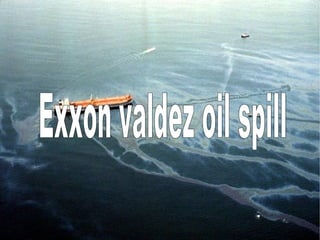 Exxon valdez gulf of mexico oil spill | POT