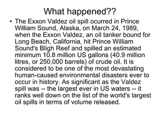 Exxon valdez gulf of mexico oil spill | POT