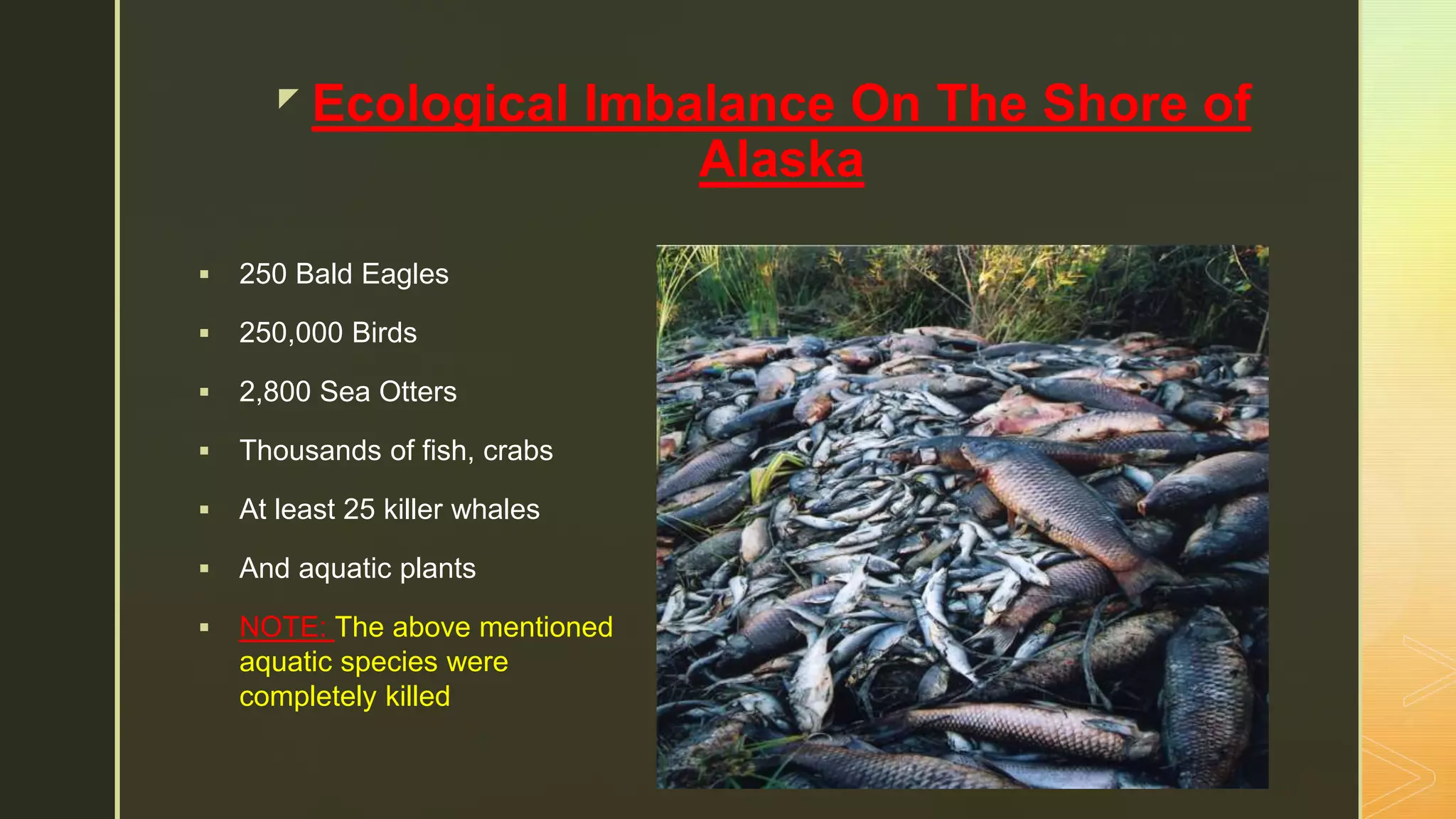 Exxon valdez oil spill | PPTX