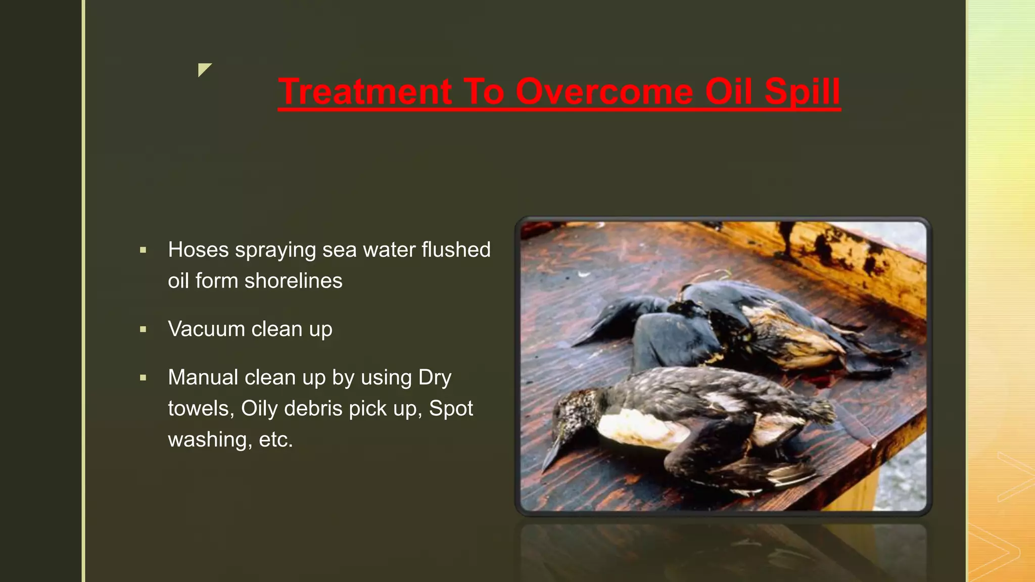 Exxon valdez oil spill | PPT