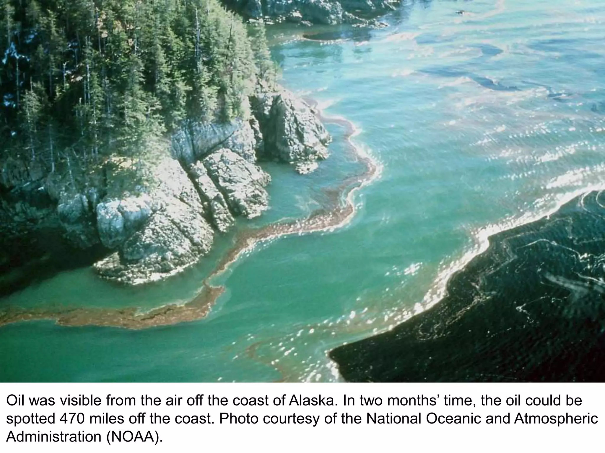 Exxon Valdez presentation.ppt