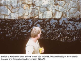 Exxon Valdez presentation.ppt
