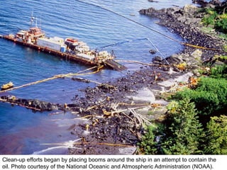 Exxon Valdez presentation.ppt