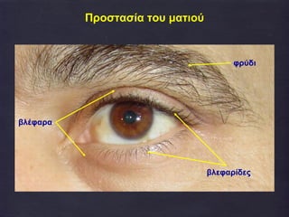 Μάτι | PPT