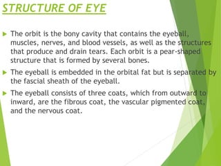 Eye | PPTX