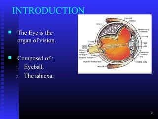 Eye | PPT