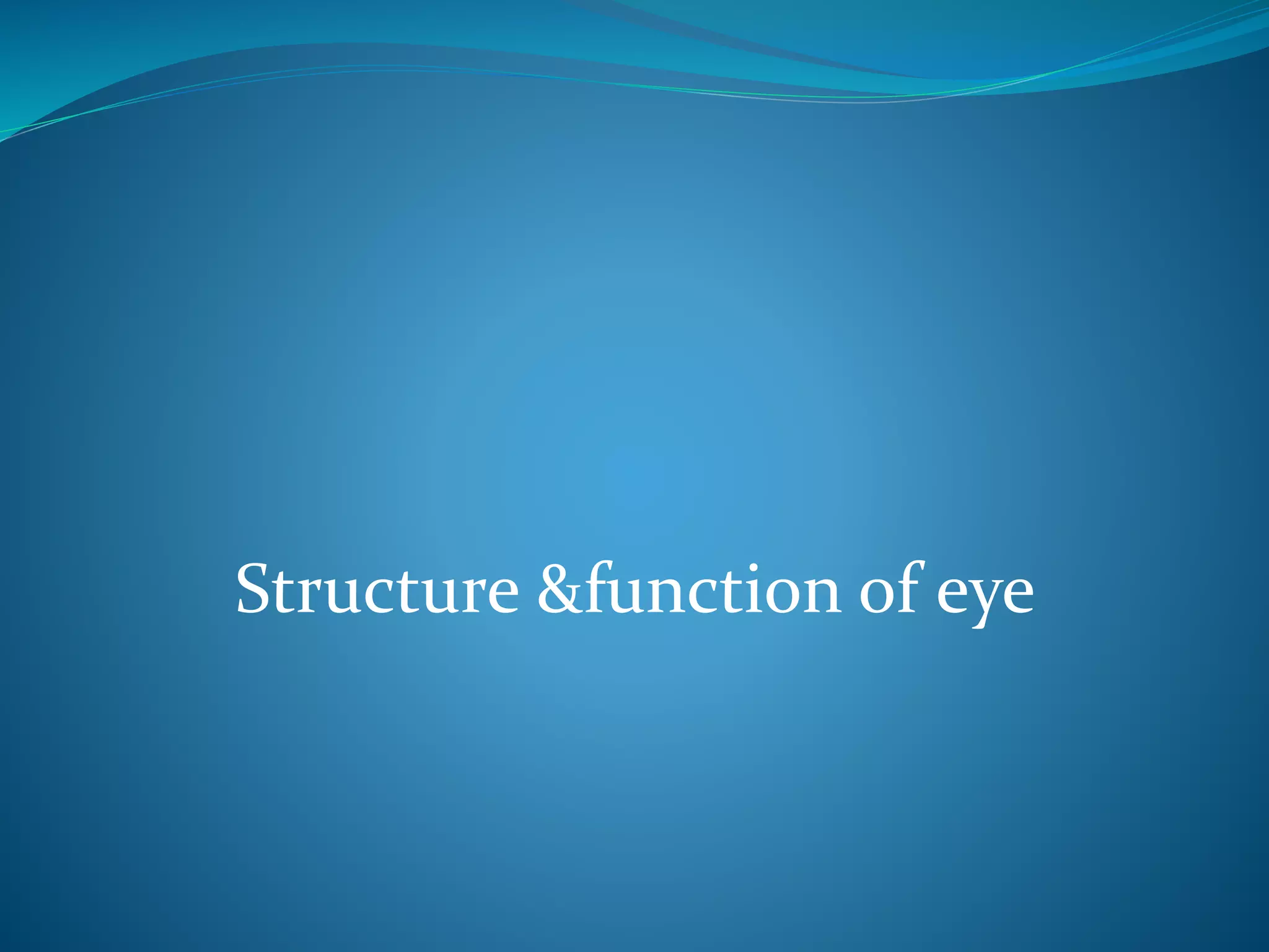 Eye presentation.pptx