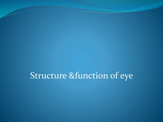Eye presentation.pptx