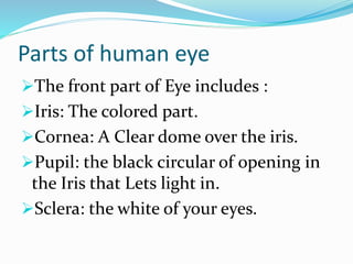 Eye presentation.pptx
