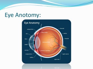 Eye presentation.pptx