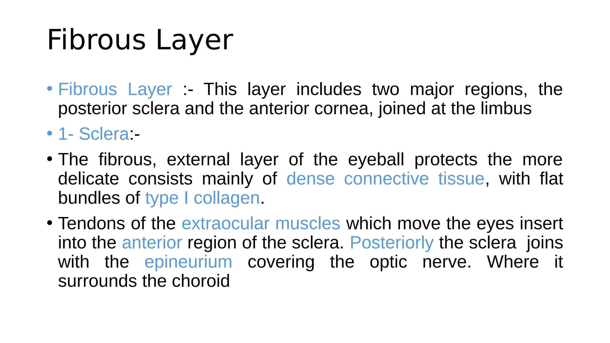 Histology of the eye by a very good docotor in iraqi uni collage of med ...