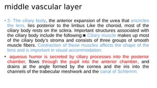 Histology of the eye by a very good docotor in iraqi uni collage of med ...