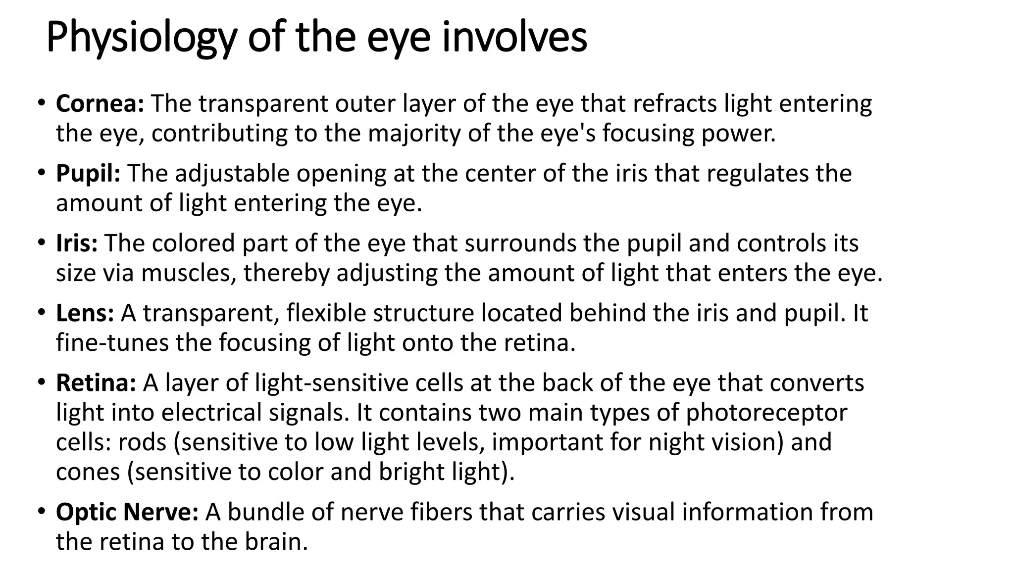 Anatomy and Physiology of eye ppt free download | PPT