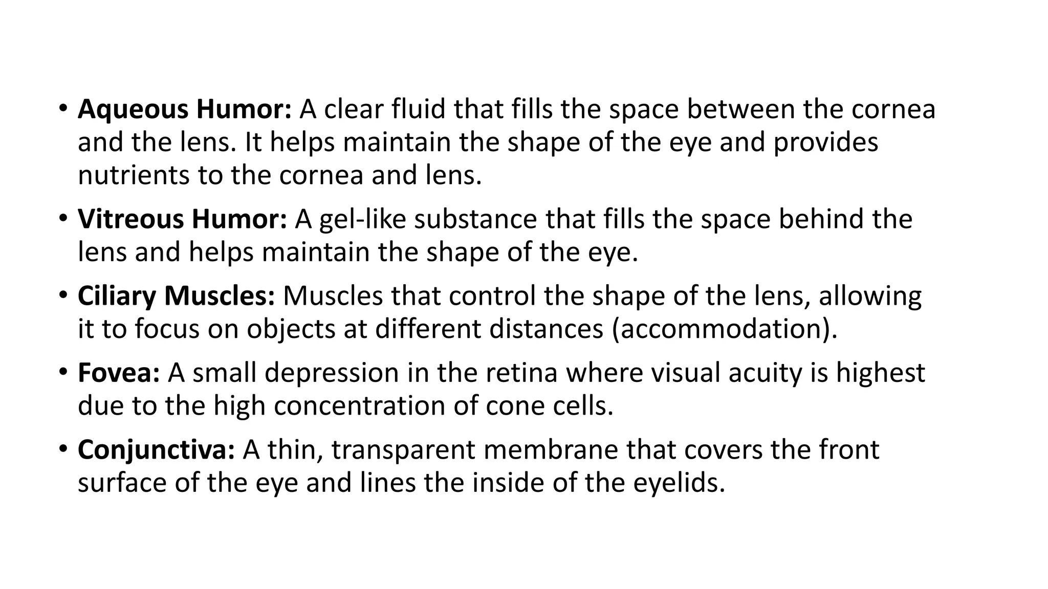 Anatomy and Physiology of eye ppt free download | PPTX