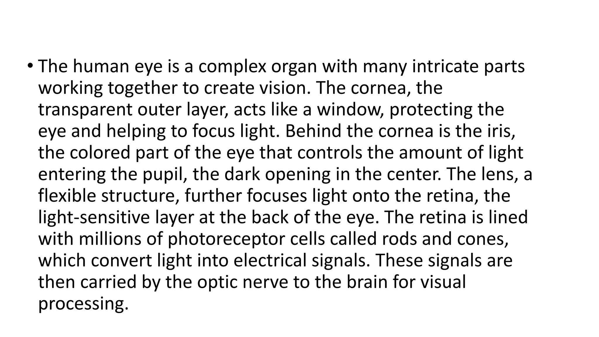 Anatomy and Physiology of eye ppt free download | PPT