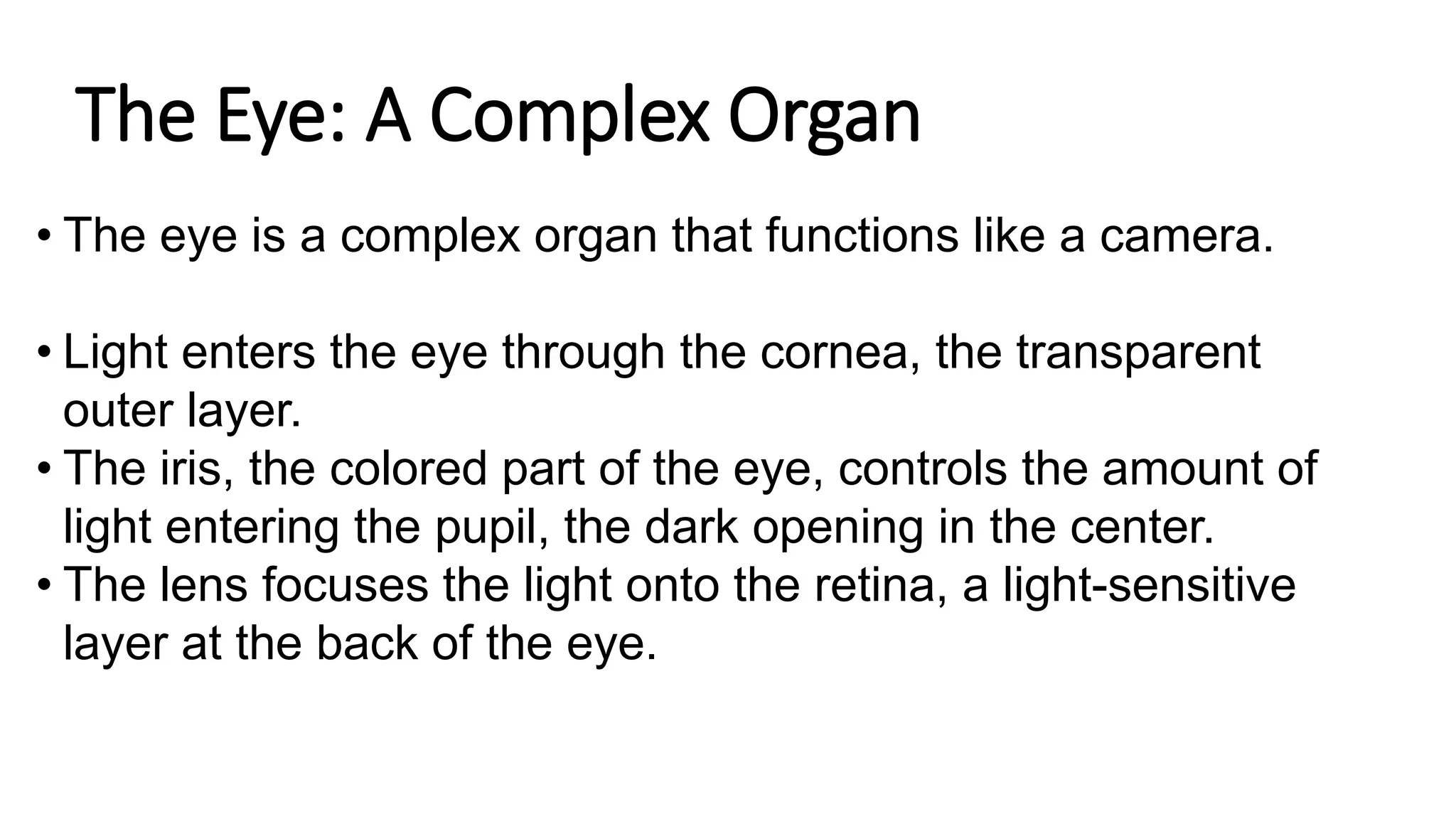 Anatomy and Physiology of eye ppt free download | PPT