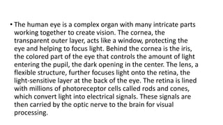 Anatomy and Physiology of eye ppt free download | PPTX