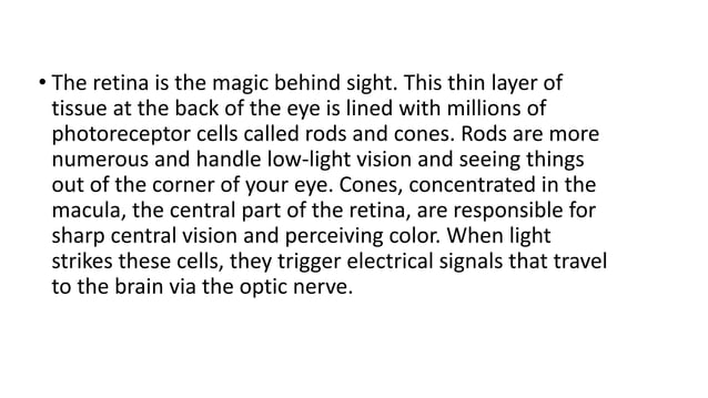 Anatomy and Physiology of eye ppt free download | PPT