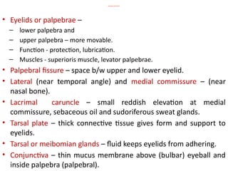 EYE SENSE ORGAN ANATOMY AND PHYSIOLOGY.pptx
