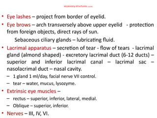 EYE SENSE ORGAN ANATOMY AND PHYSIOLOGY.pptx