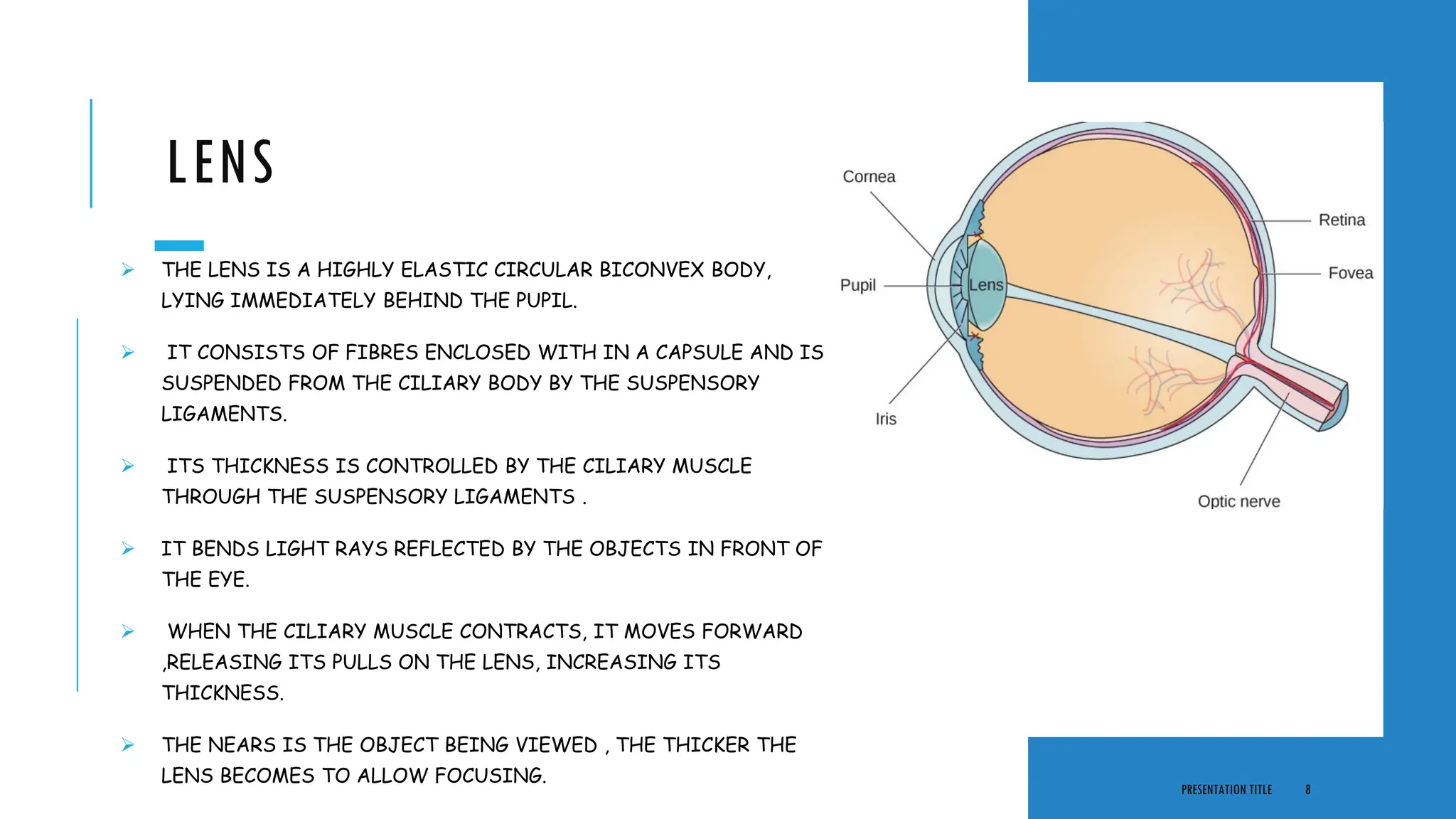 EYEthe visual organ. its structure and its blood supply pdf | PPT