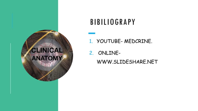 EYEthe visual organ. its structure and its blood supply pdf | PPT