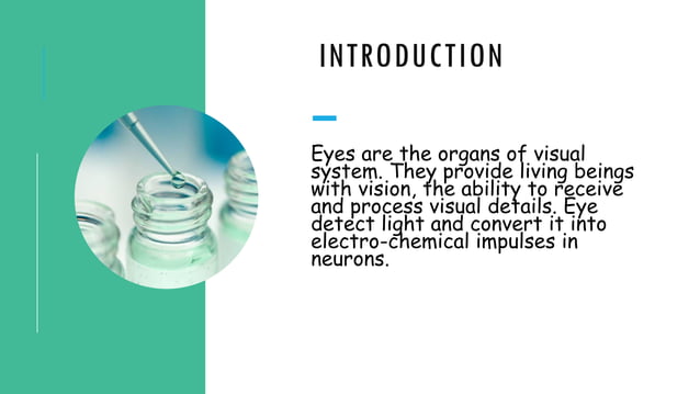 EYEthe visual organ. its structure and its blood supply pdf | PPT