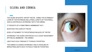 EYEthe visual organ. its structure and its blood supply pdf | PPT