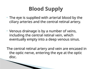 Understanding the Structure and Functions of the Eye in Human ...