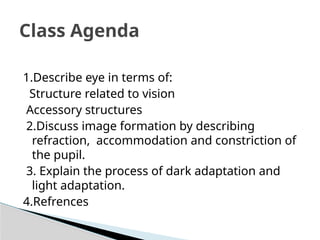 Understanding the Structure and Functions of the Eye in Human Physiolo ...