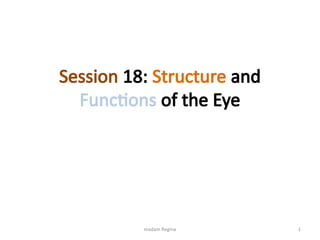 Structure and Functions of the Eye of the human | PPTX