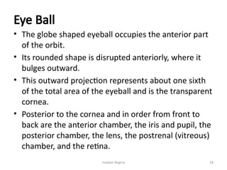 Structure and Functions of the Eye of the human | PPTX