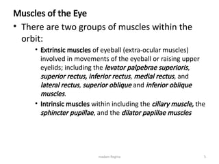 Structure and Functions of the Eye of the human | PPTX