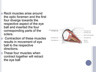 Eye accessory structures | PPTX