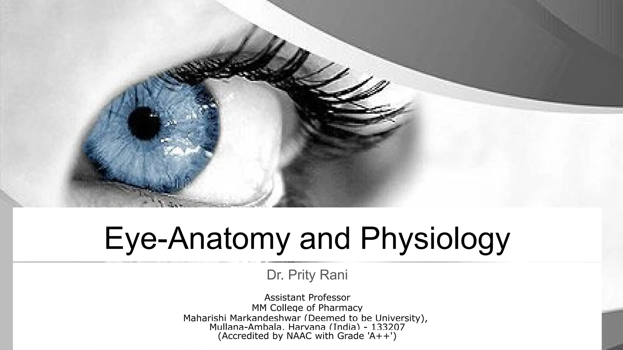 Eye Anatomy and Physiology: Exploring the Structure, Function, and ...