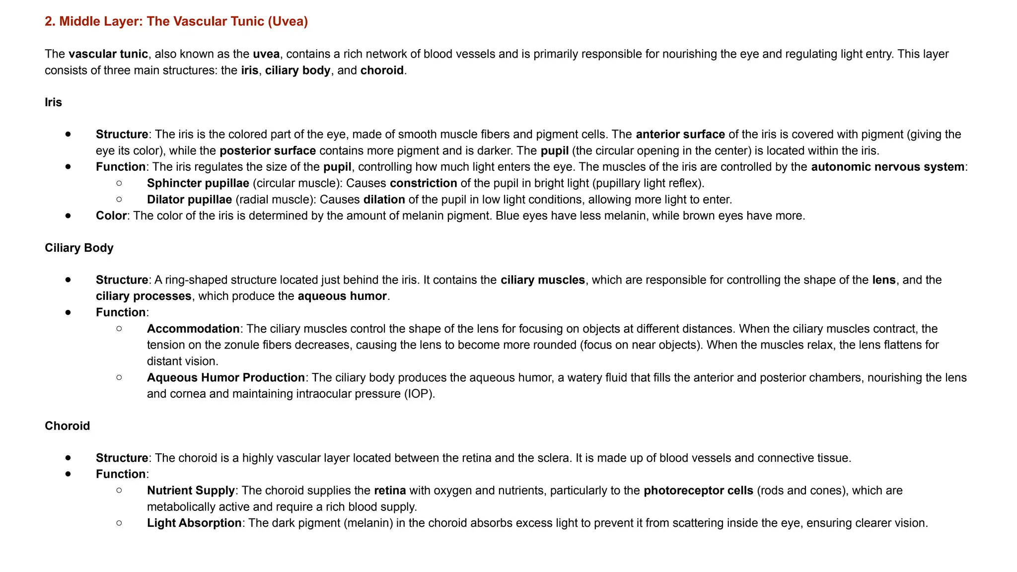 Eye Anatomy and Physiology: Exploring the Structure, Function, and ...