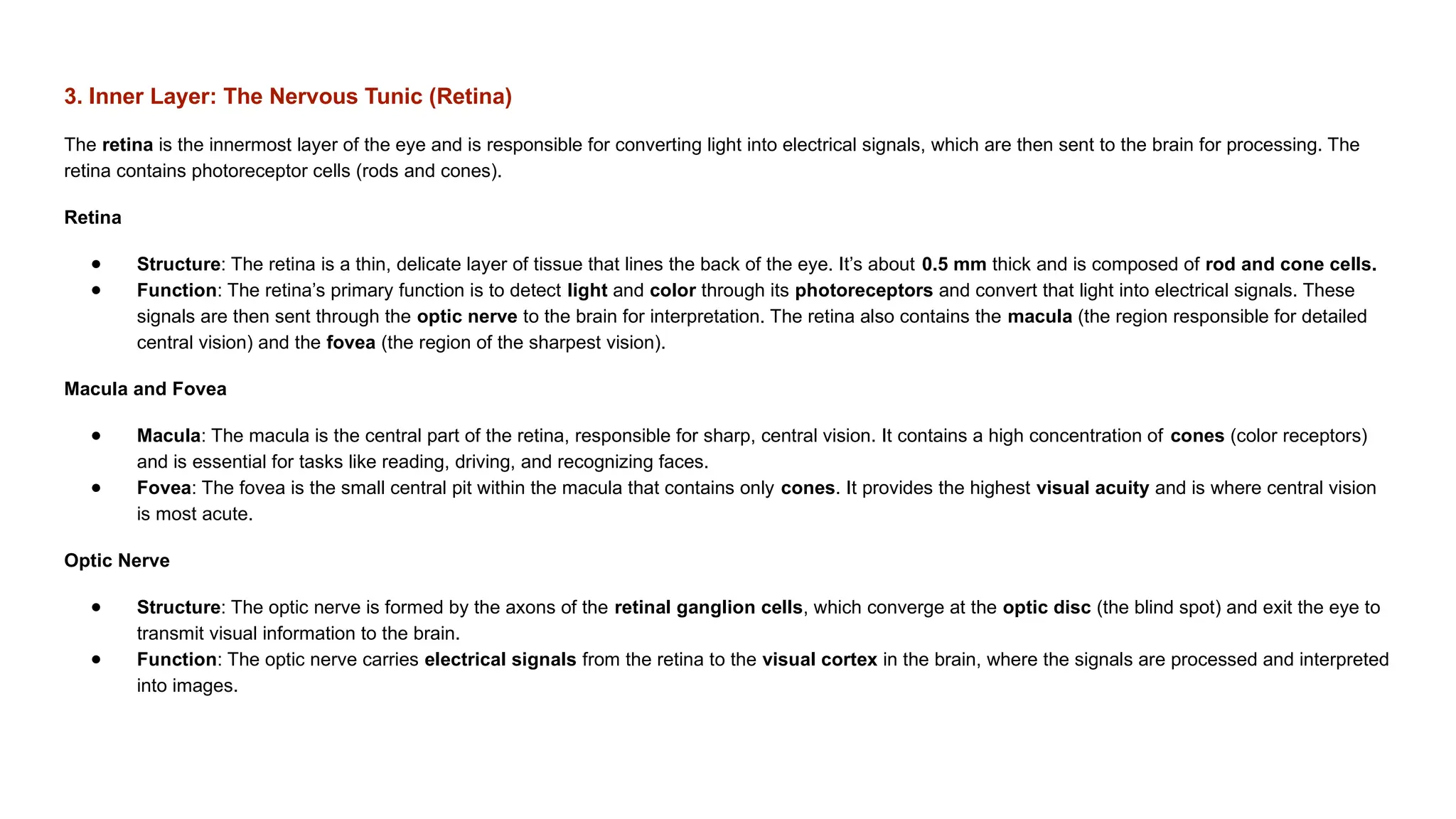 Eye Anatomy and Physiology: Exploring the Structure, Function, and ...