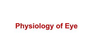 Eye Anatomy and Physiology: Exploring the Structure, Function, and ...