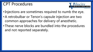 Eye-and-Ocular-Adnexa.pptx