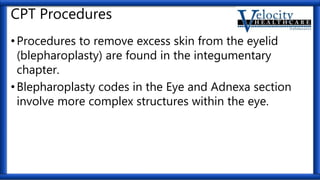 Eye-and-Ocular-Adnexa.pptx