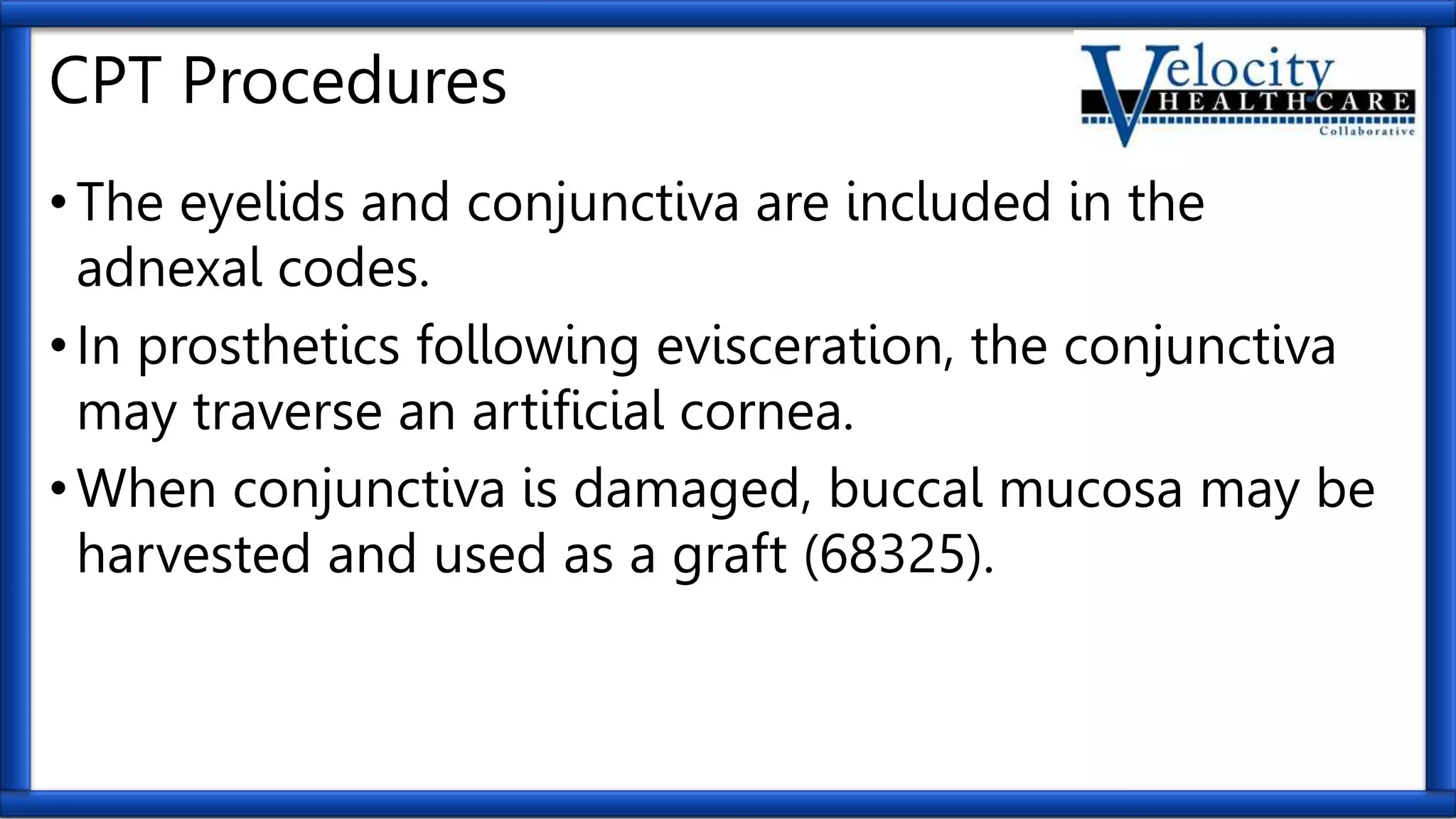 Eye-and-Ocular-Adnexa.pptx