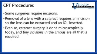 Eye-and-Ocular-Adnexa.pptx
