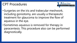 Eye-and-Ocular-Adnexa.pptx