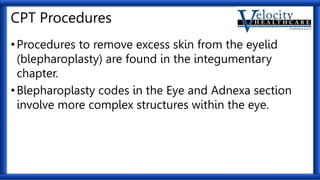 Eye-and-Ocular-Adnexa.pptx