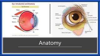 Eye-and-Ocular-Adnexa.pptx