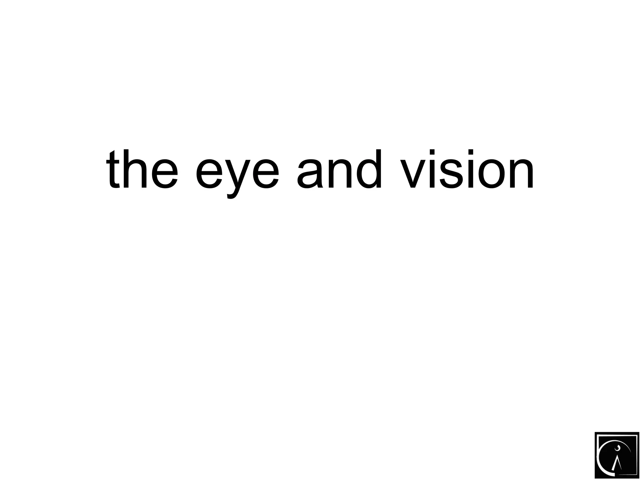 The Human: Eye and vision | PPT