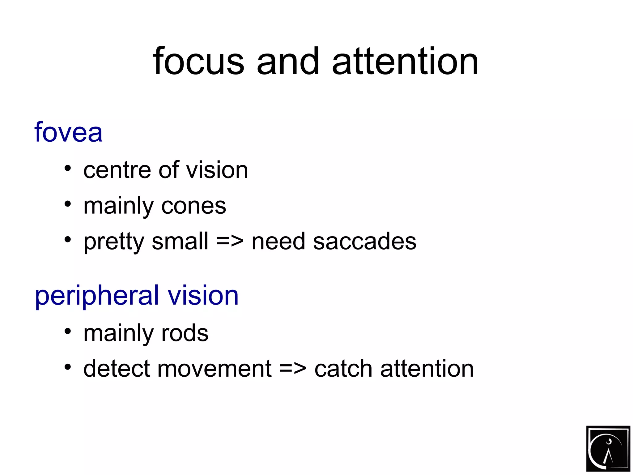 The Human: Eye and vision | PPT