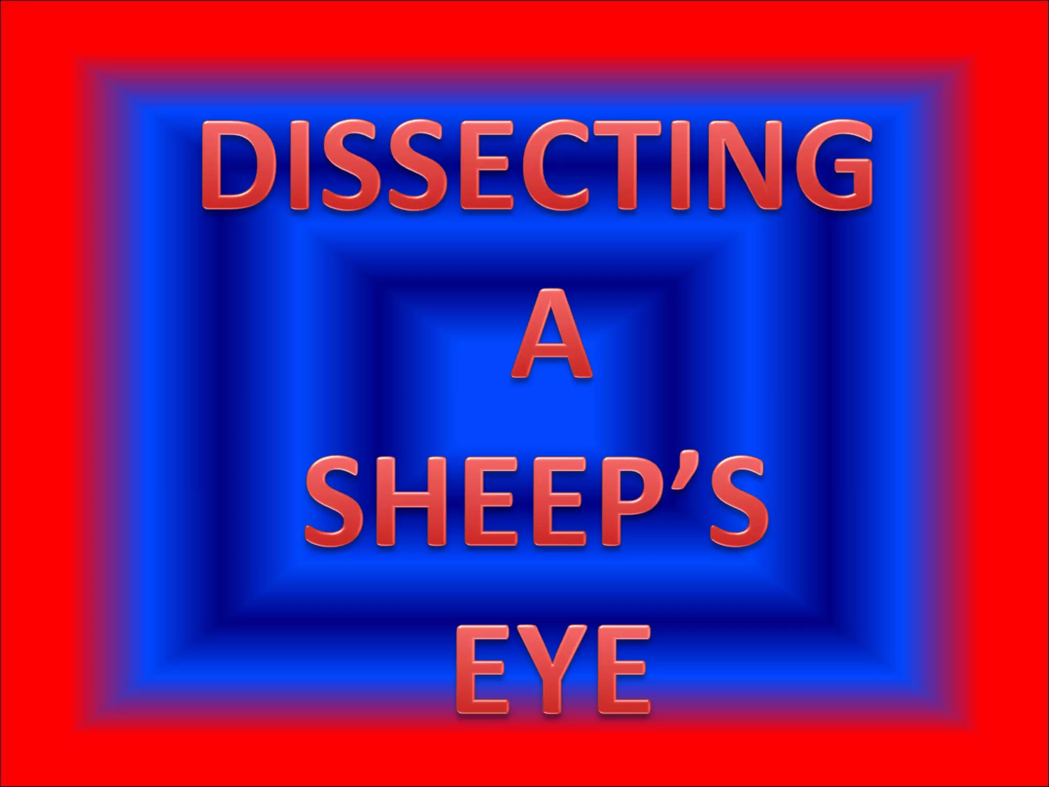 Eye Dissection | PPT